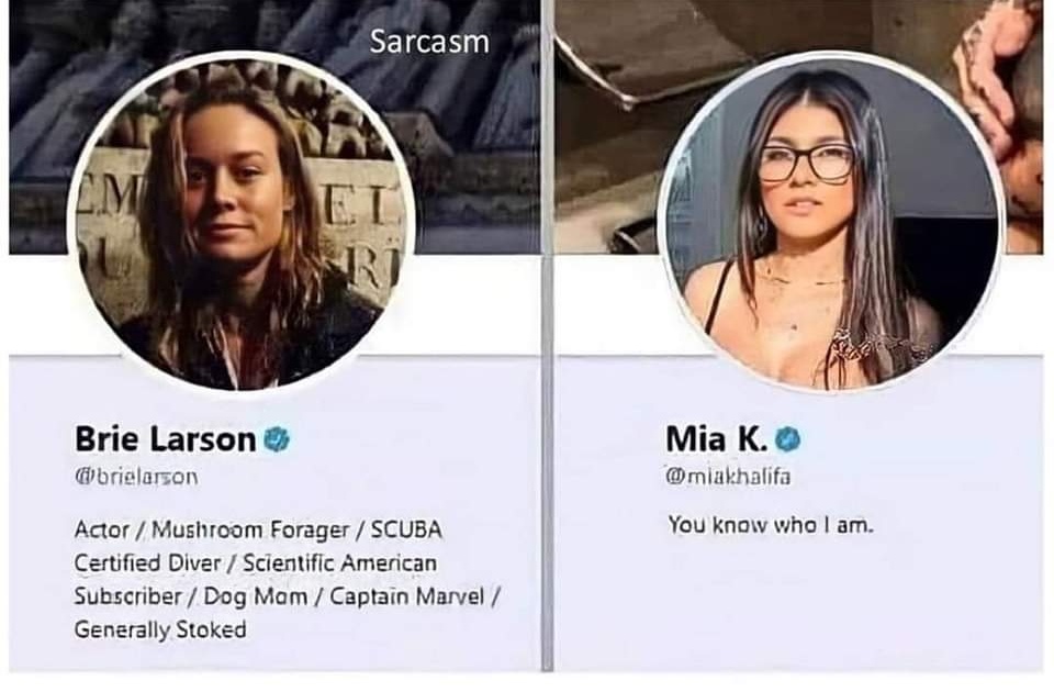 Cea mai scurta descriere – Clubul de ras.ro