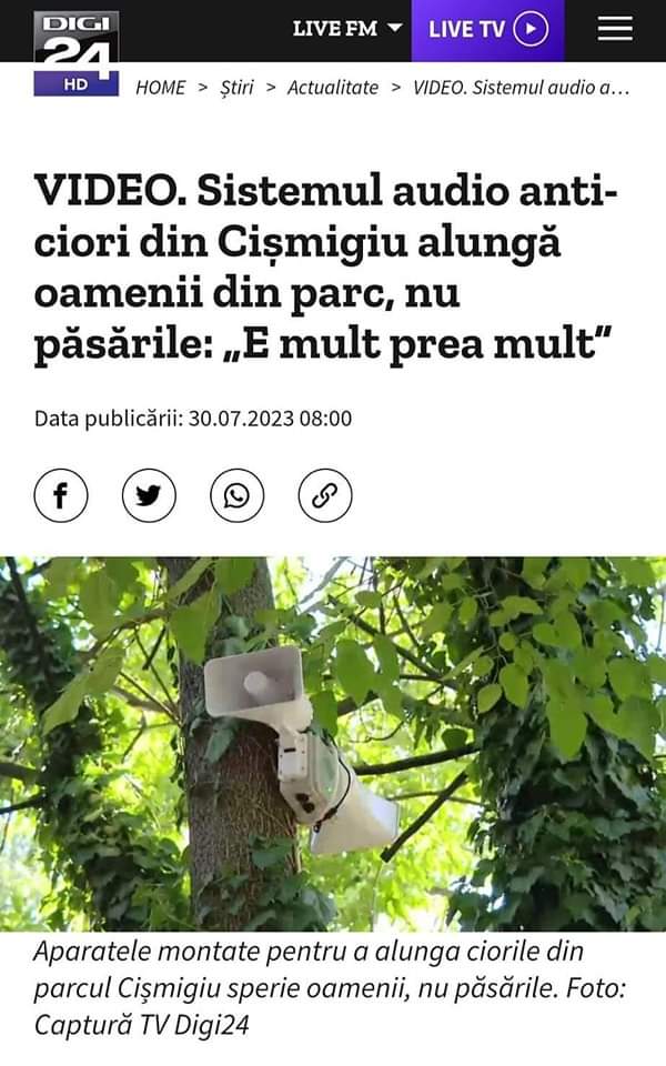 Ciorile sunt la locul lor – Clubul de ras.ro Ciorile sunt la locul lor – Clubul de ras.ro